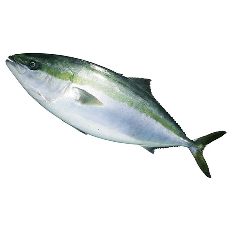 Buri Fish 1Kg