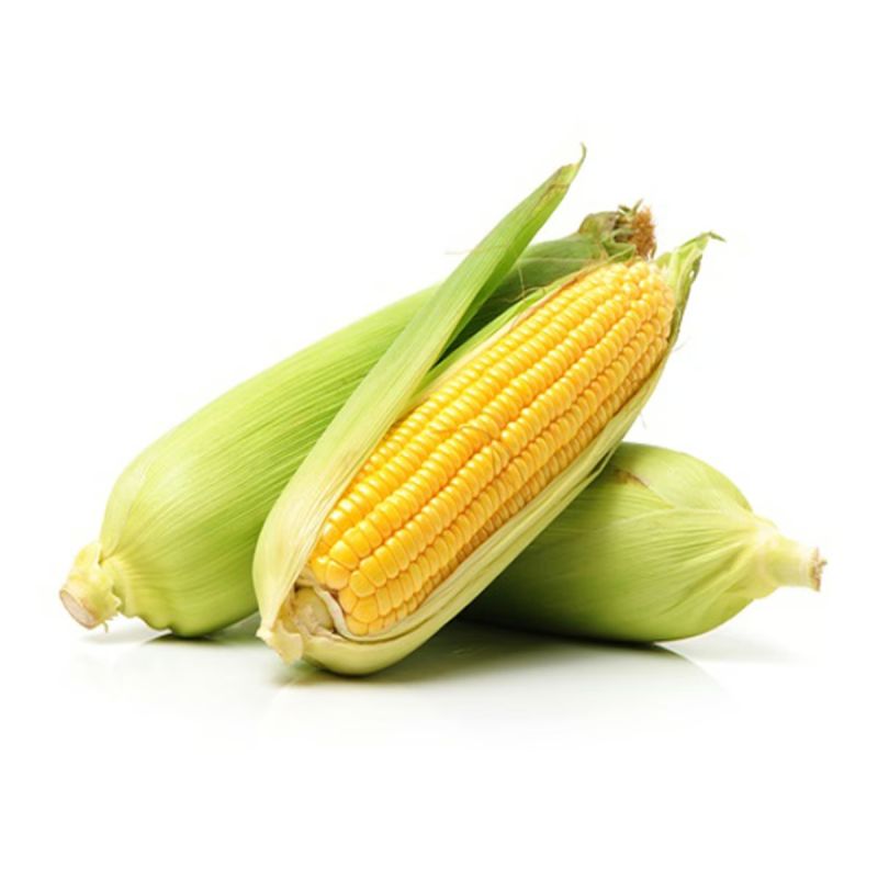 Corn Fresh 1kg