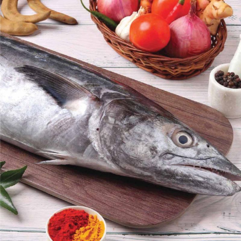 King Fish Medium 1kg