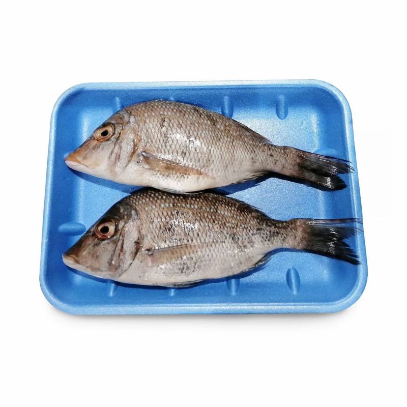 Sherry Fish Small 1kg